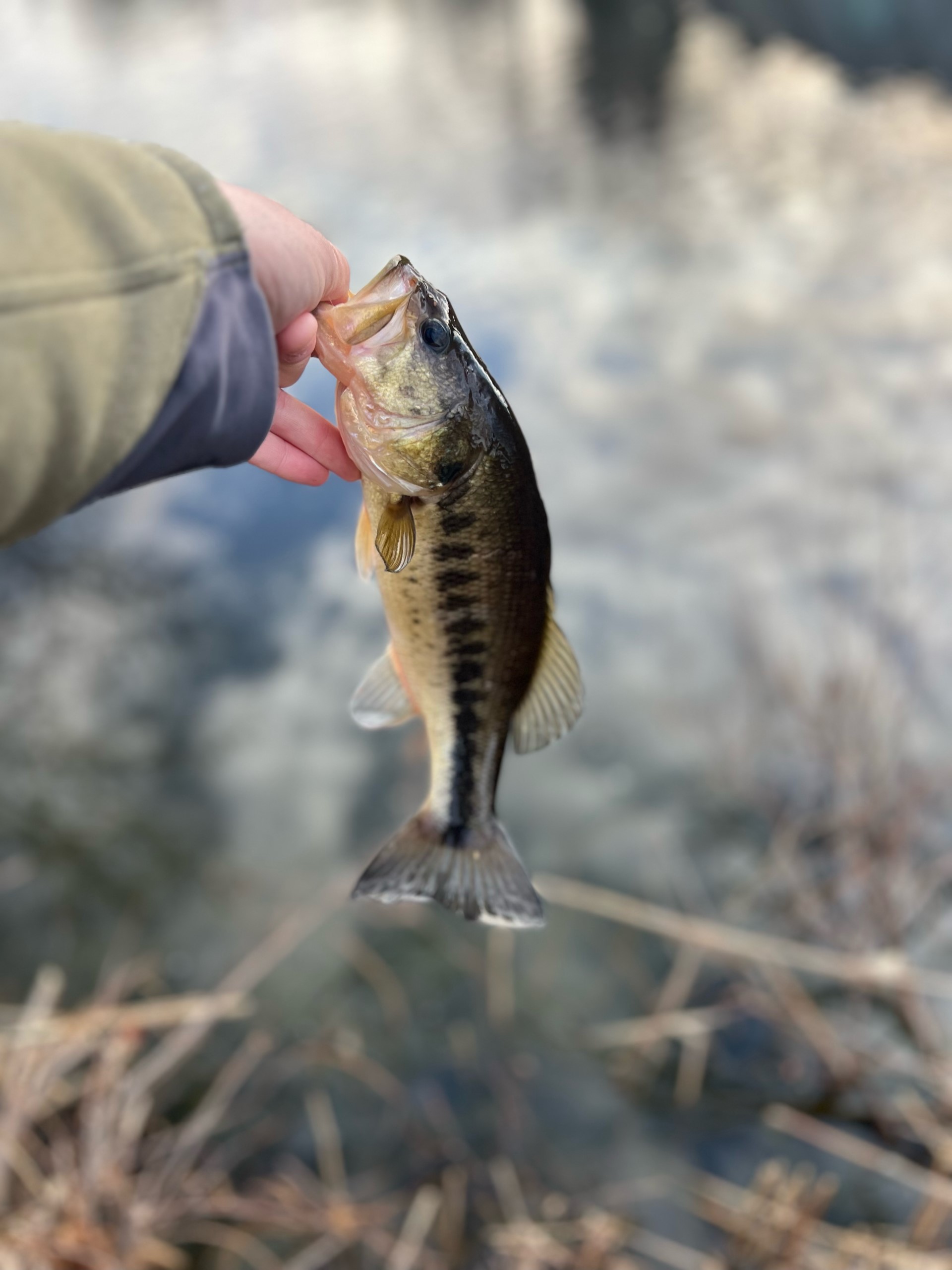 Long Island and NYC Fishing Report- February 15, 2024 - On The Water