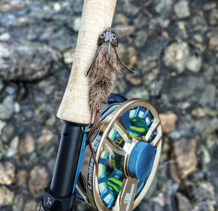Wild Brown Trout on the Deerfield River - On The Water