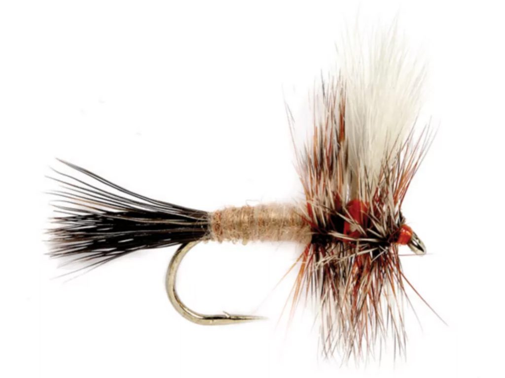 Trout Fishing In the Adirondacks: Fly Fishing the West Branch Ausable ...