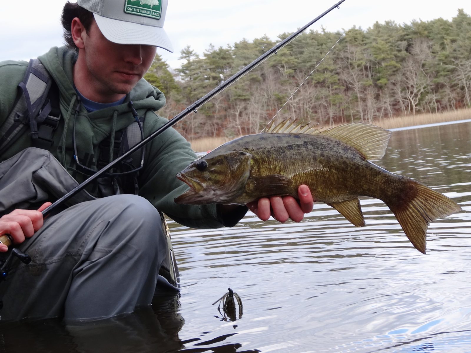 Cape Cod Fishing Reports