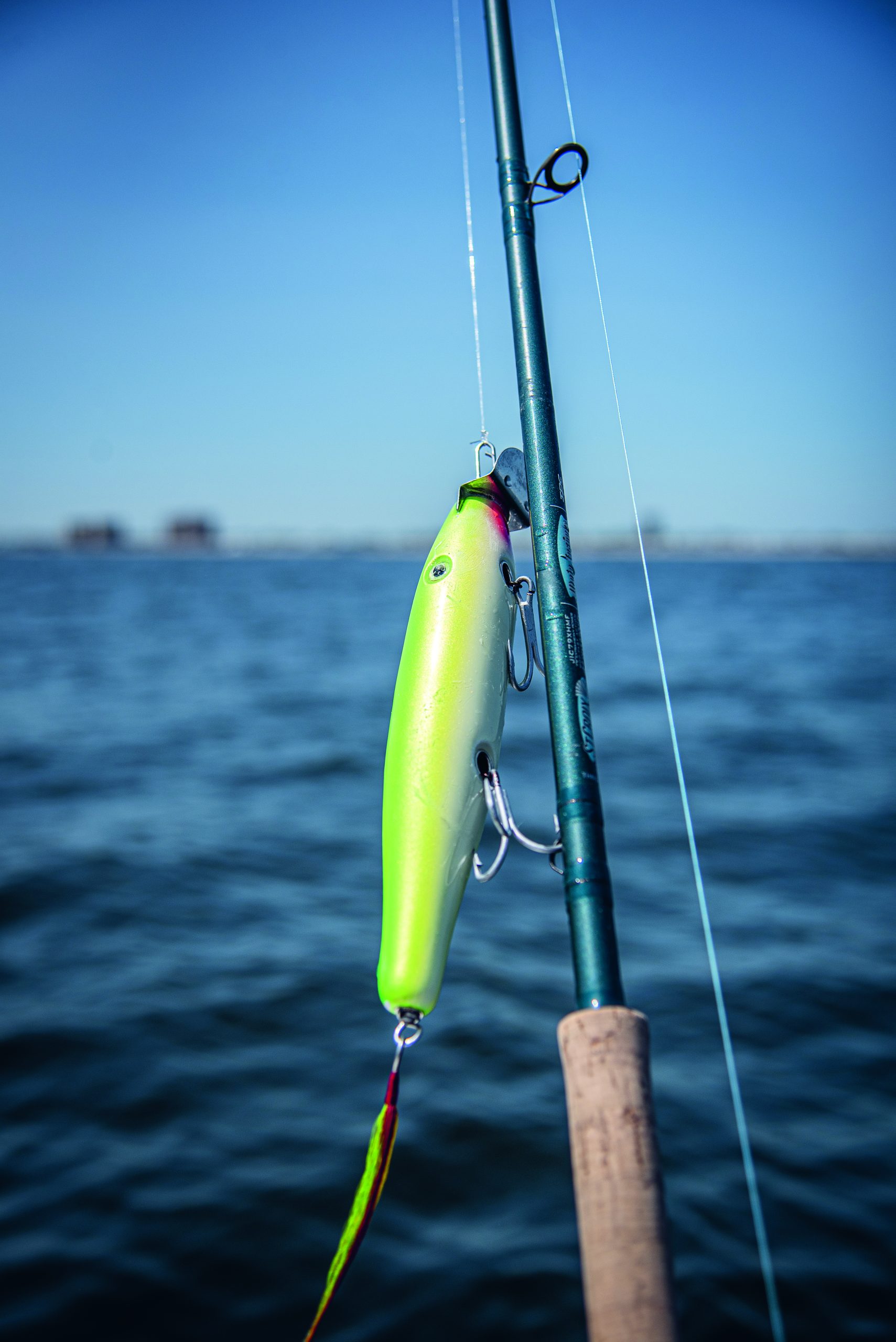 Metal Lip Swimmers for Giant Striped Bass - On The Water