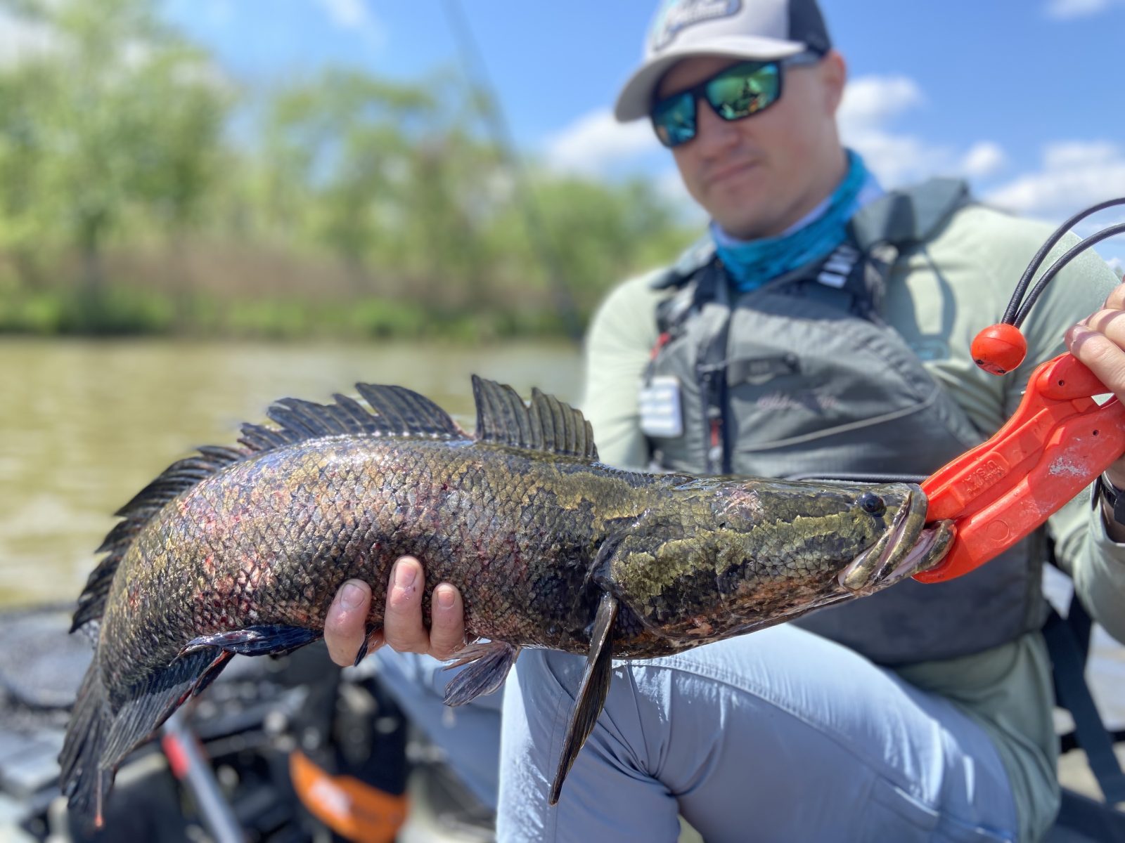 Kayak Fishing for Snakehead - On The Water