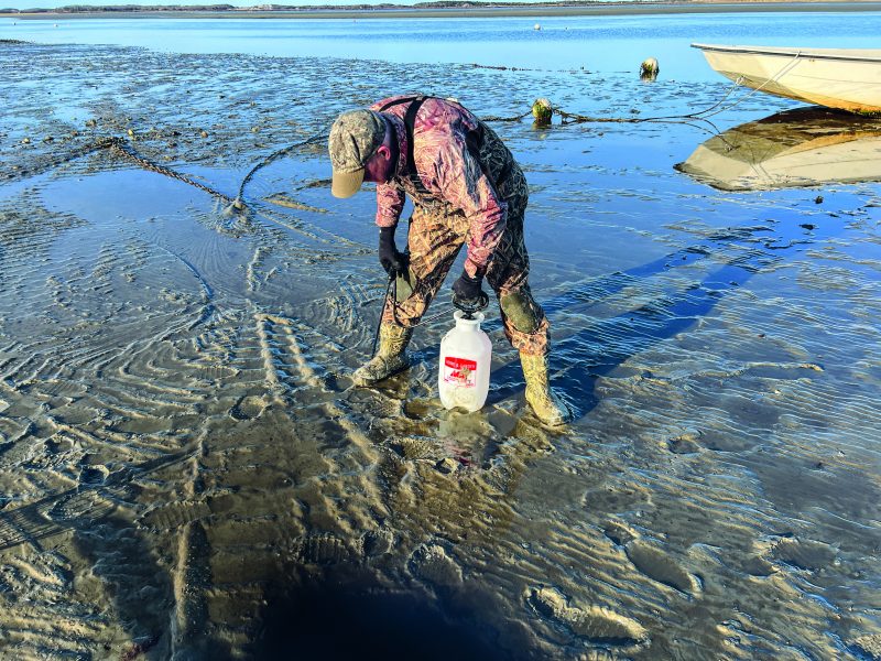 How to Harvest and Cook Razor Clams - On The Water