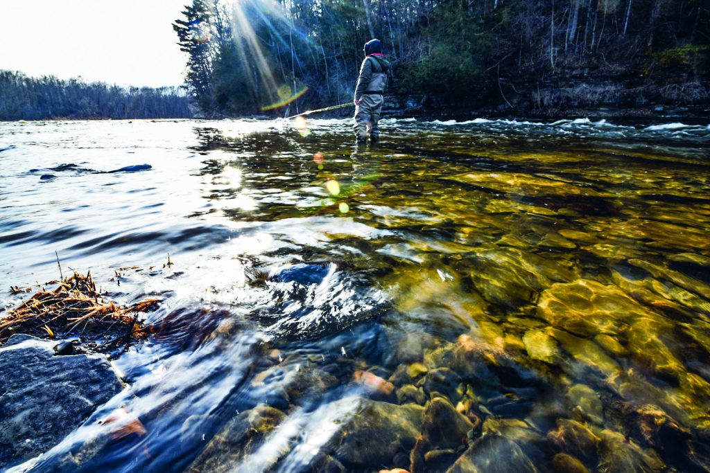 Early-Spring Steelhead - On The Water