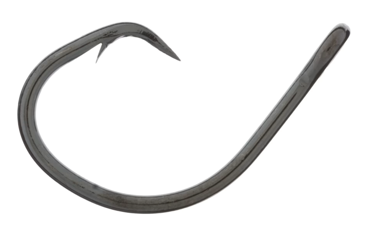 Spring Run Stripers and Herring on the Hudson - On The Water