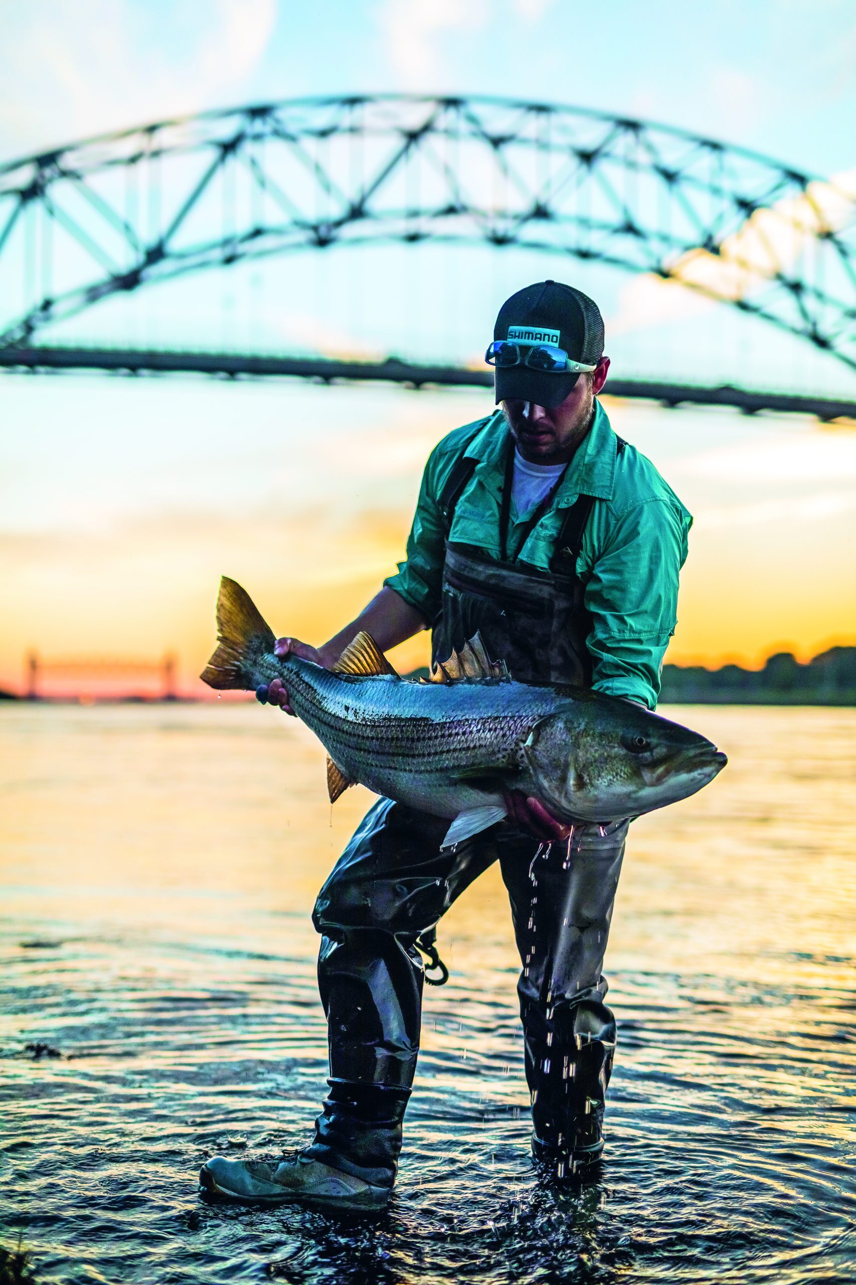 Speak Up on Striped Bass - On The Water