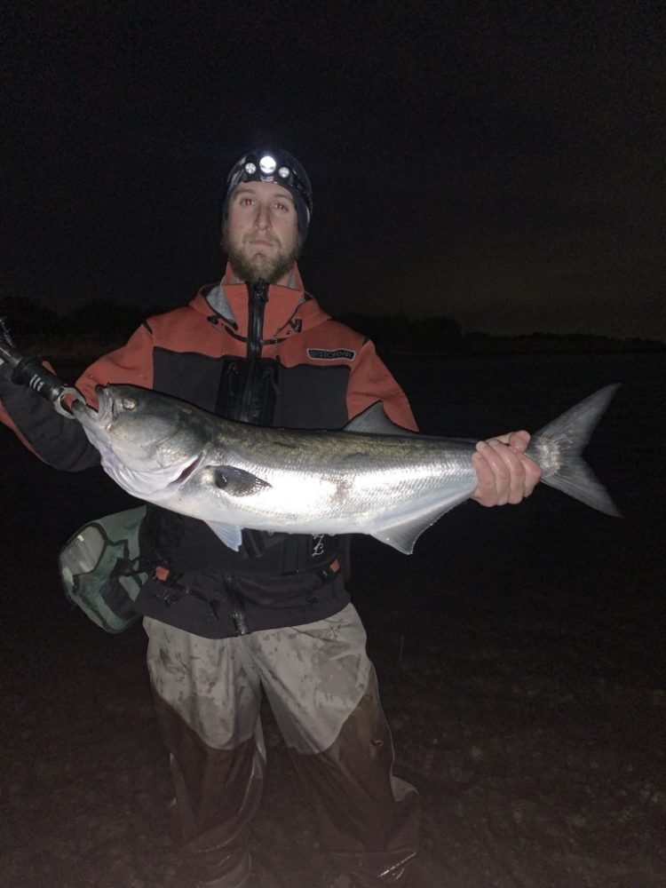 Early Spring Bluefish on Long Island's South Shore - On The Water
