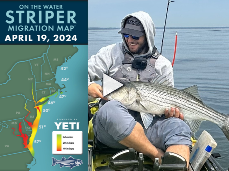 Striper Migration Map Archives - On The Water
