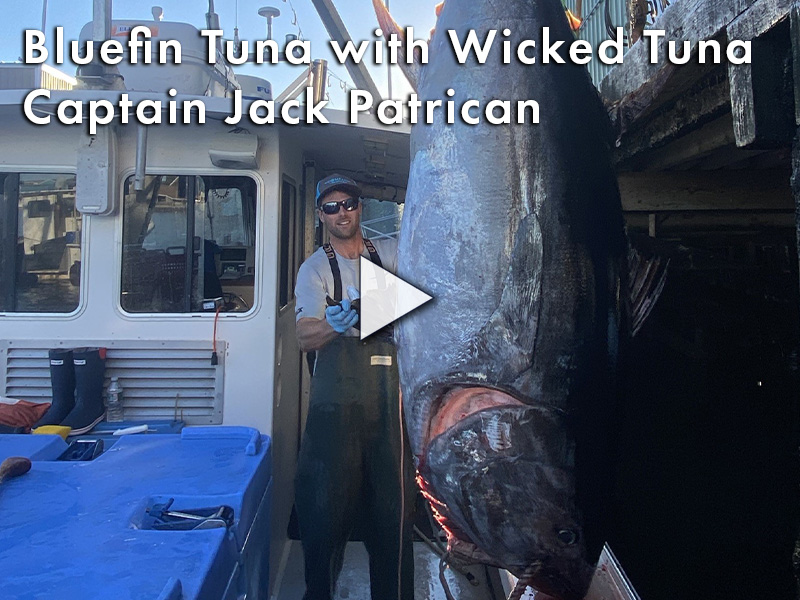 Bluefin Tuna with Wicked Tuna Captain Jack Patrican - OTW Podcast #33 ...