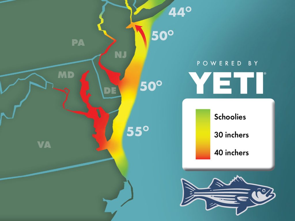 Connecticut Fishing Reports