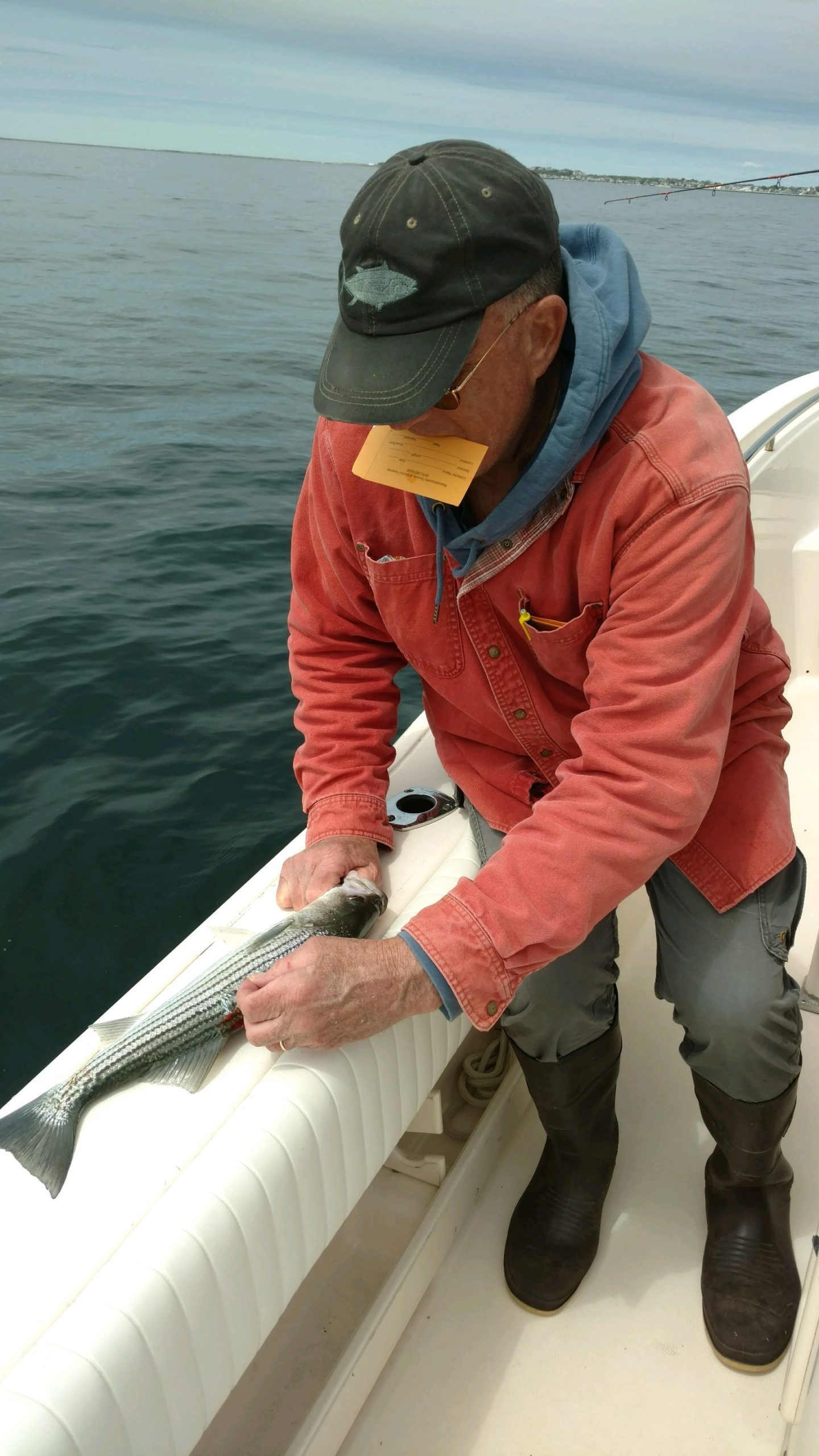 Massachusetts Seeking Citizen Scientists Who Love to Fish - On The Water