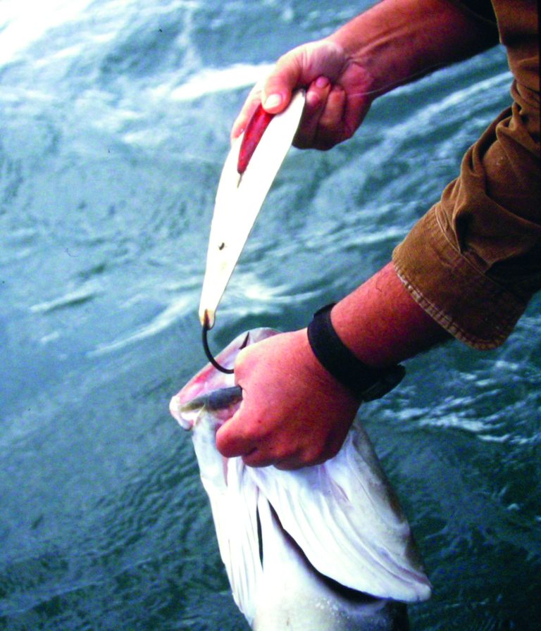 The History of Striper Fishing with Spoons - On The Water