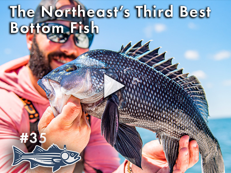 The Northeast's Third Best Bottom Fish – OTW Podcast #35 - On The Water
