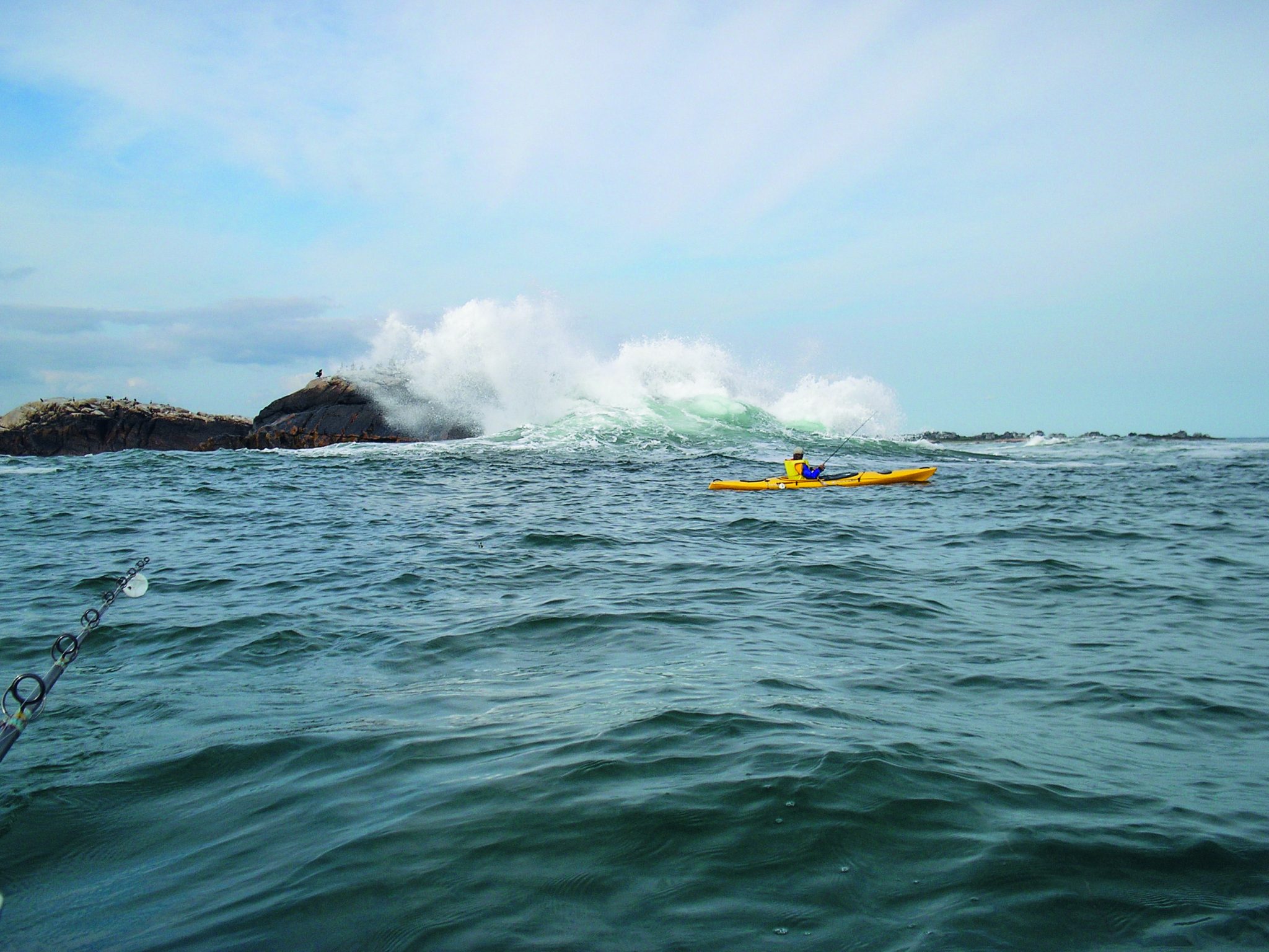 Deciphering Bite Windows - On The Water