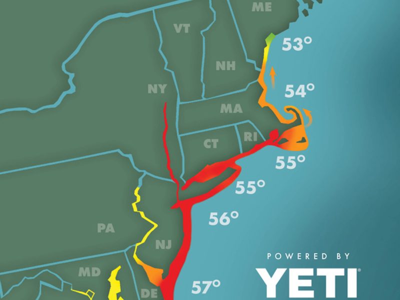 On The Water - The Angler's Guide to the Northeast