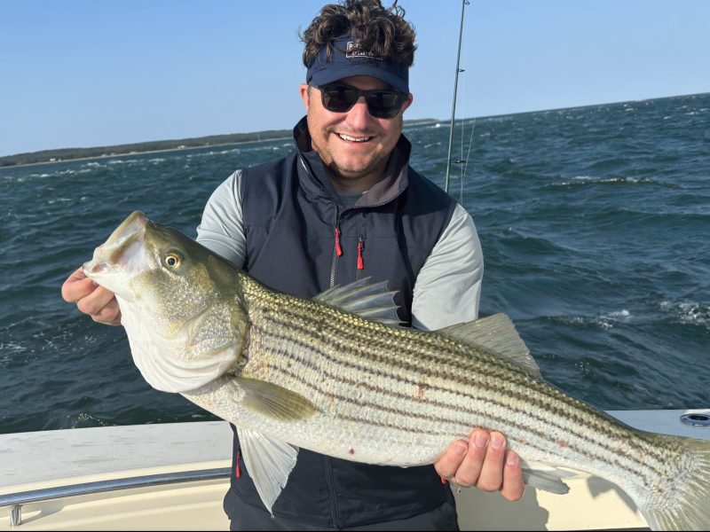 Cape Cod Fishing Reports