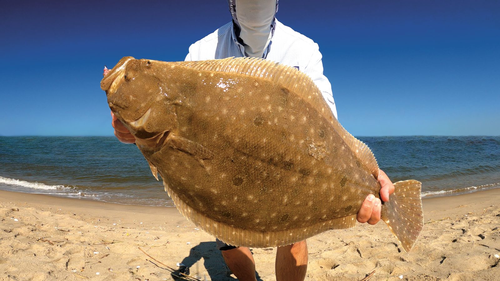 Fluke Fishing with Jerkbaits in the Back Bays - On The Water