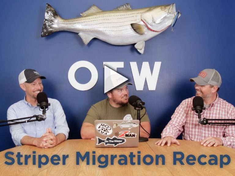 Striper Migration Map Archives - On The Water