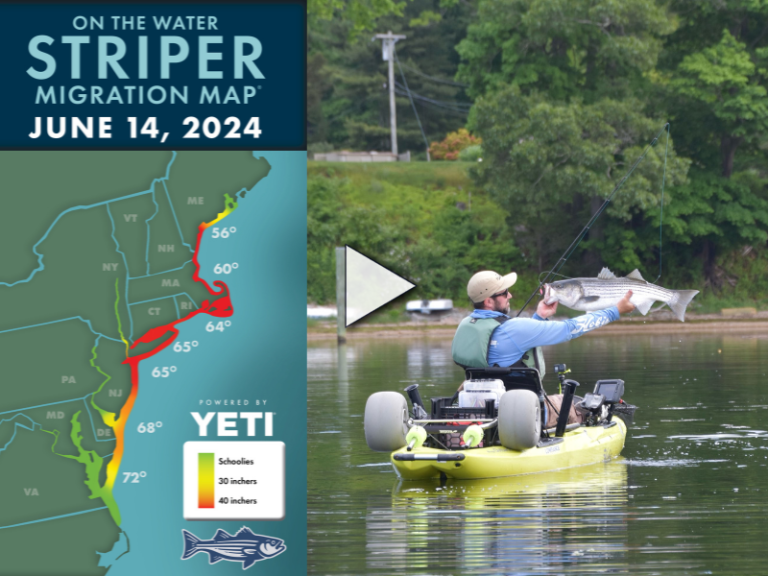 Striper Migration Map Archives - On The Water