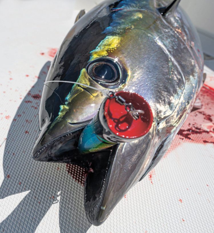 Topwater Popping For Tuna - On The Water