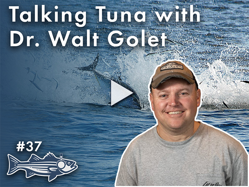 Bluefin Biology with Dr. Walt Golet - OTW Podcast #37 - On The Water