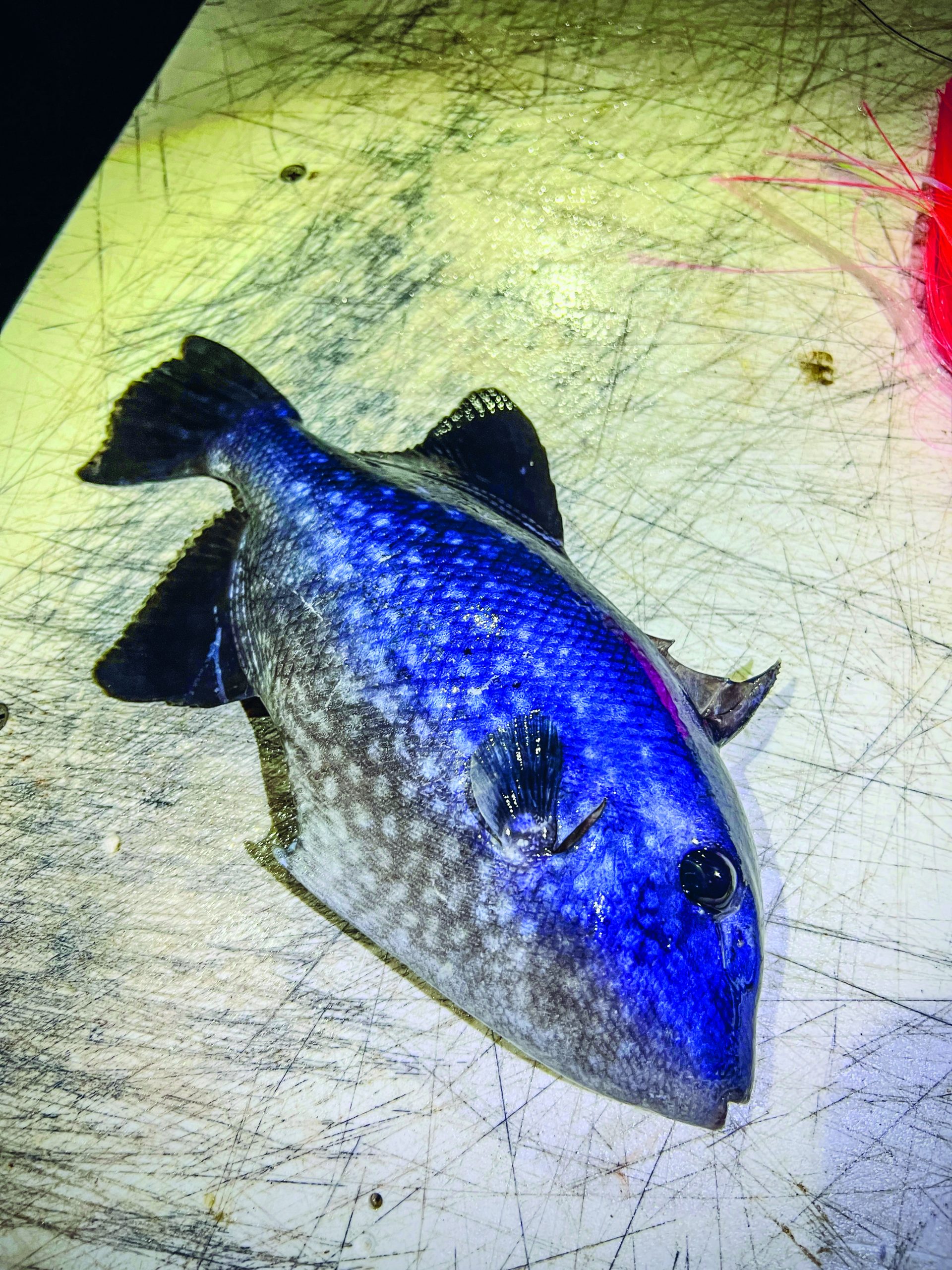 Ode to the Canyons - On The Water