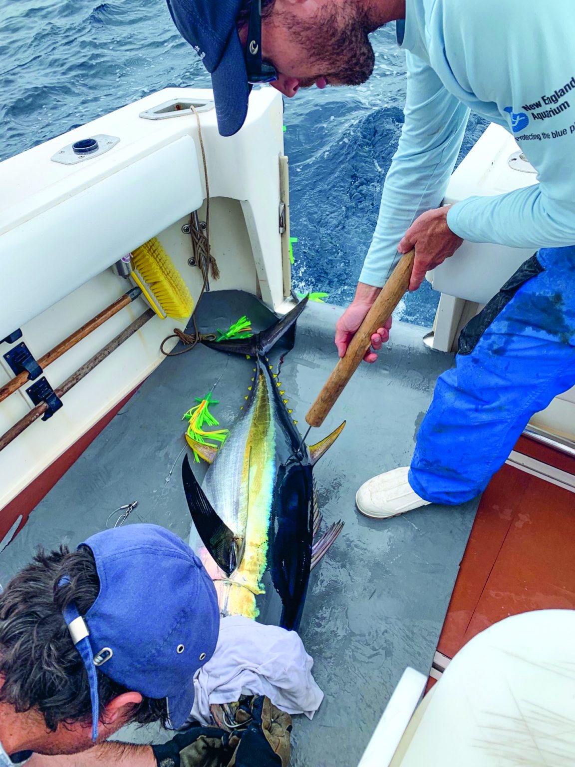 Tracking Atlantic Yellowfin Tuna - On The Water