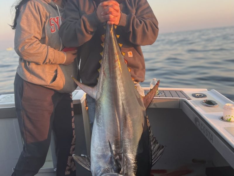 Offshore Fishing Reports