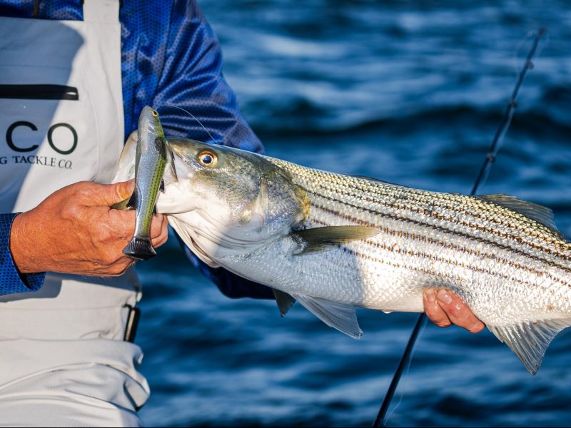 On The Water - The Angler's Guide to the Northeast