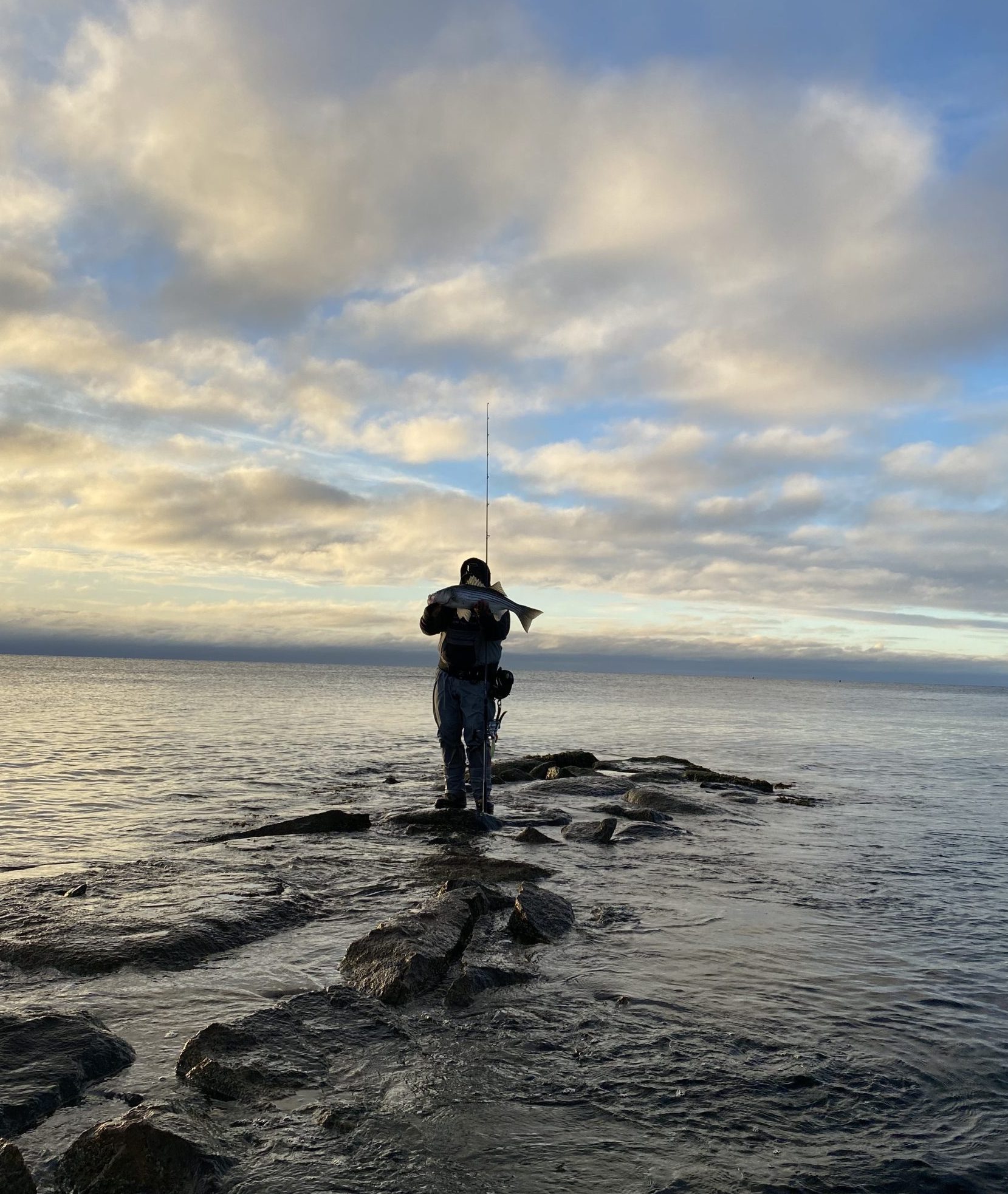 Fishing the Northeast Mullet Run - On The Water