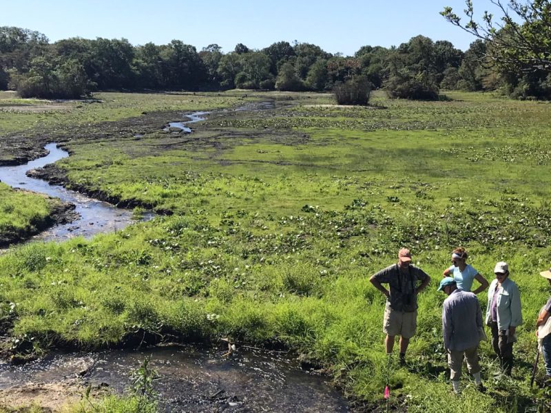 Freshwater Archives - On The Water
