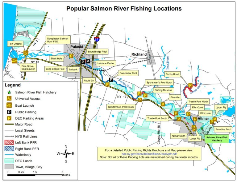 Fishing the Salmon River in Pulaski, New York - On The Water