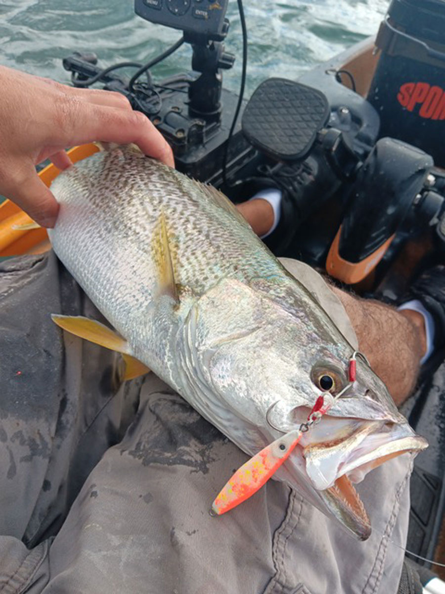 Massachusetts Fishing Report – October 10, 2024 - On The Water
