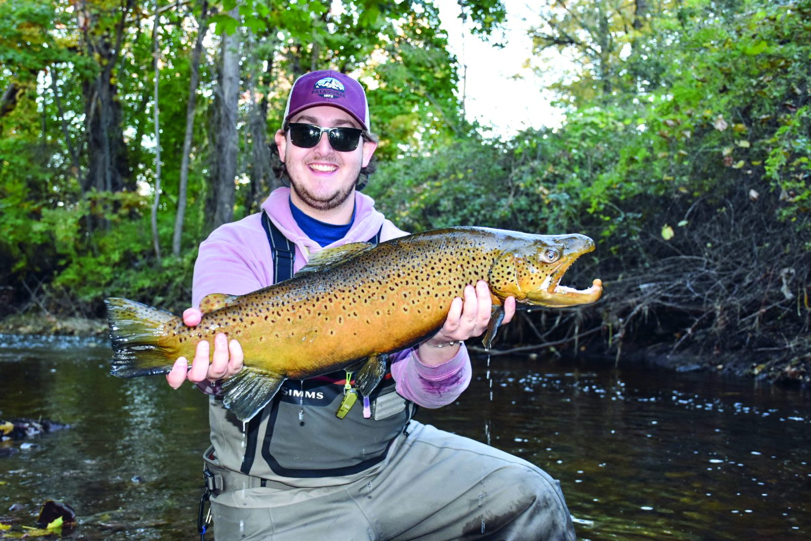The Giant Brown Trout of Lake Ontario - On The Water
