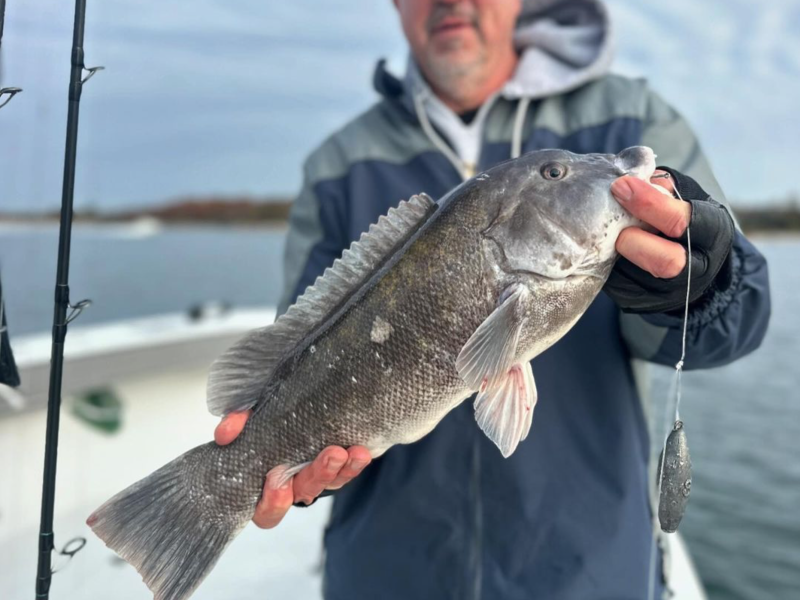 Connecticut Fishing Reports