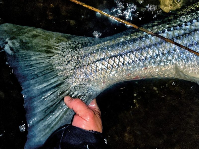 On The Water - The Angler's Guide to the Northeast