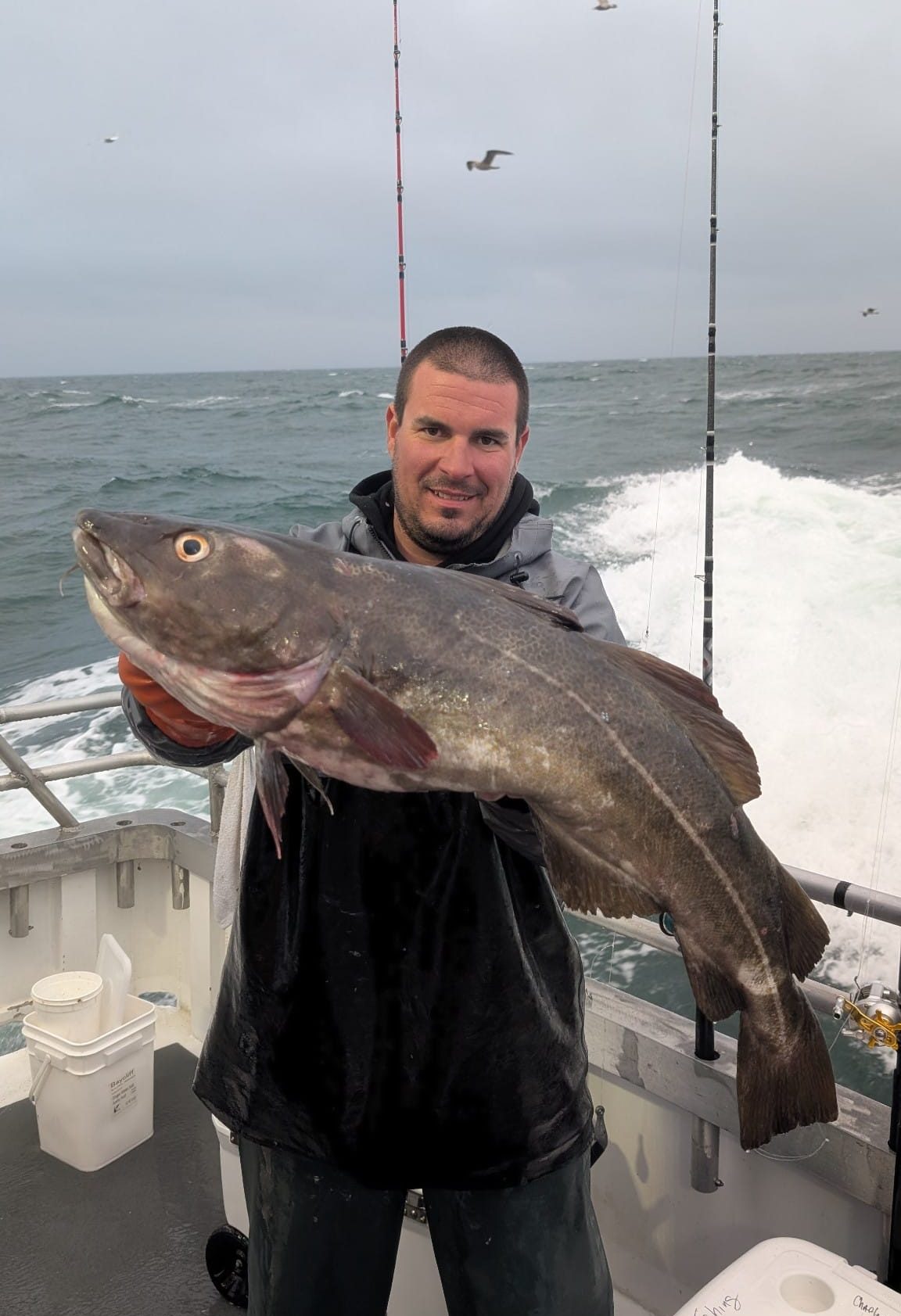 Connecticut Fishing Report- December 19, 2024 - On The Water