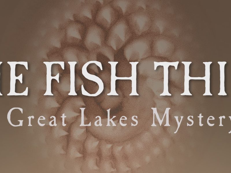 Solving the Great Lakes' Disappearing Fish Mystery - On The Water