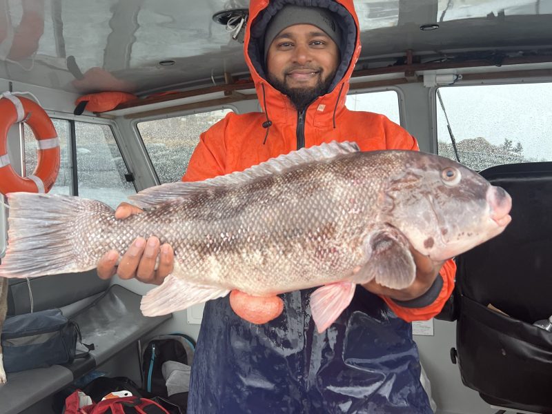 Rhode Island Fishing Reports