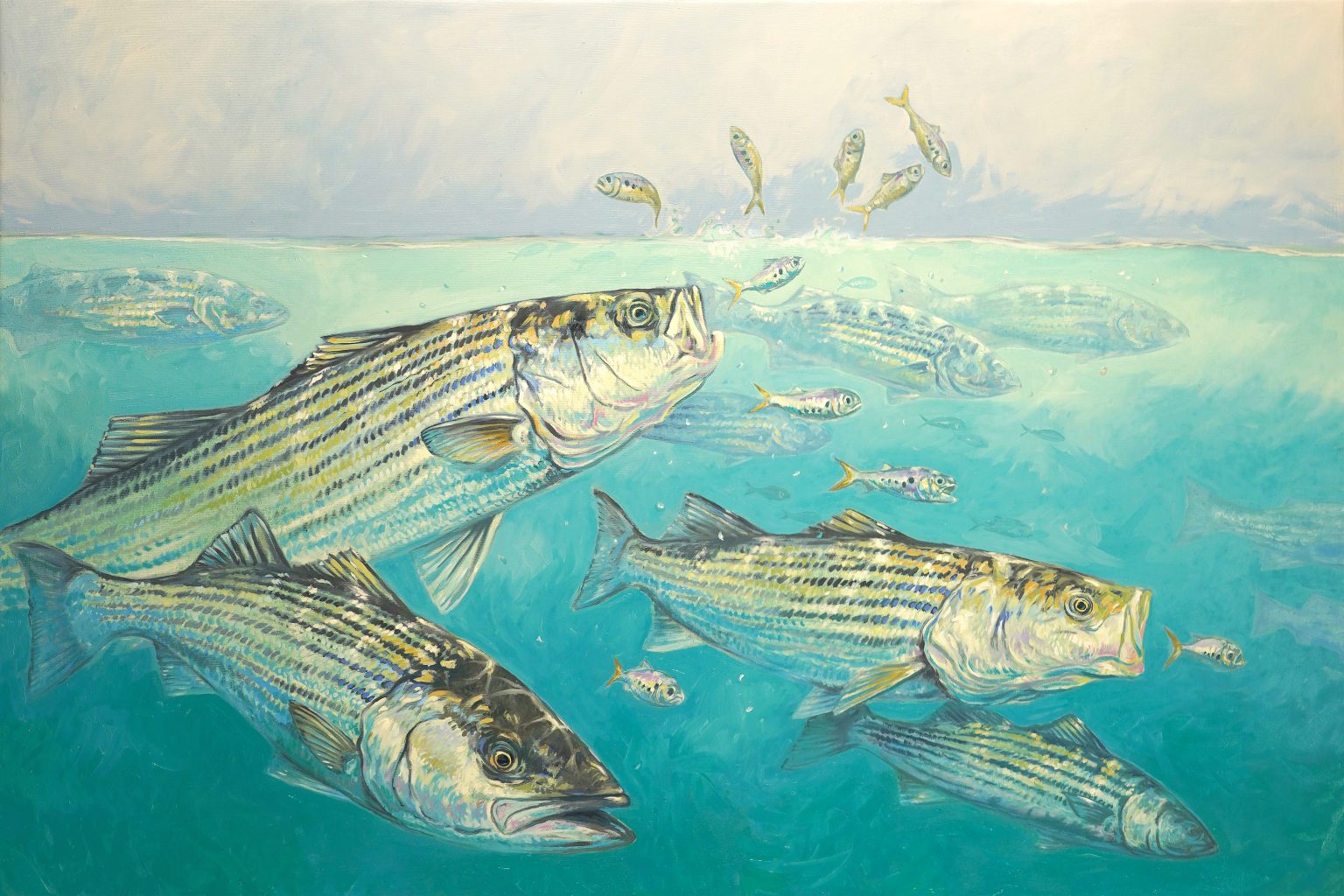 Angling Artist: Amadeo Bachar - On The Water