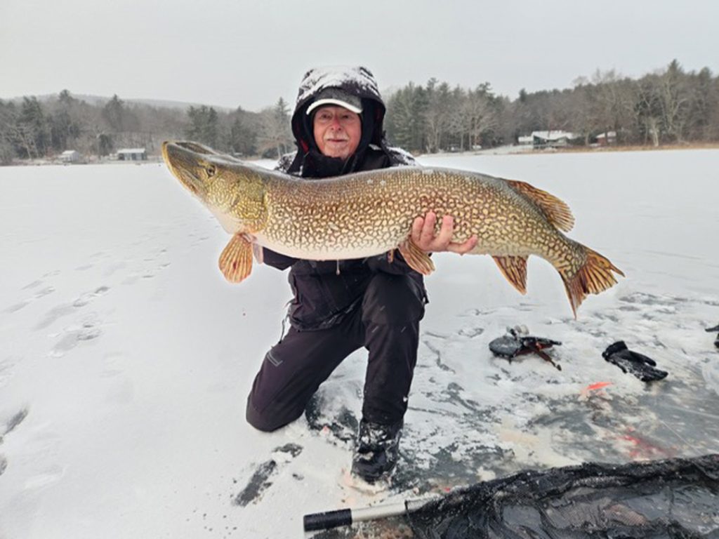 Massachusetts Fishing Report - January 2025 - On The Water