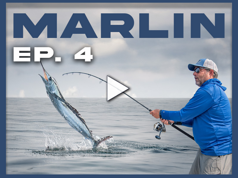 Sight Fishing MARLIN off a Bay Boat - On The Water