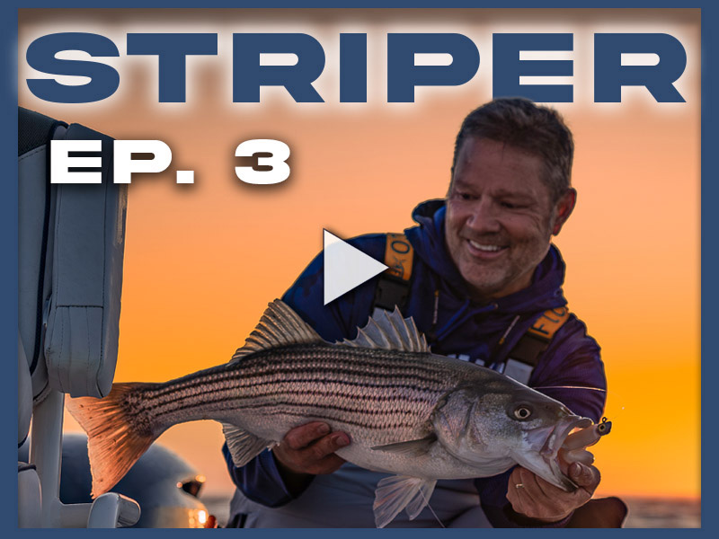 Striper Fishing at the Monomoy Rips - On The Water