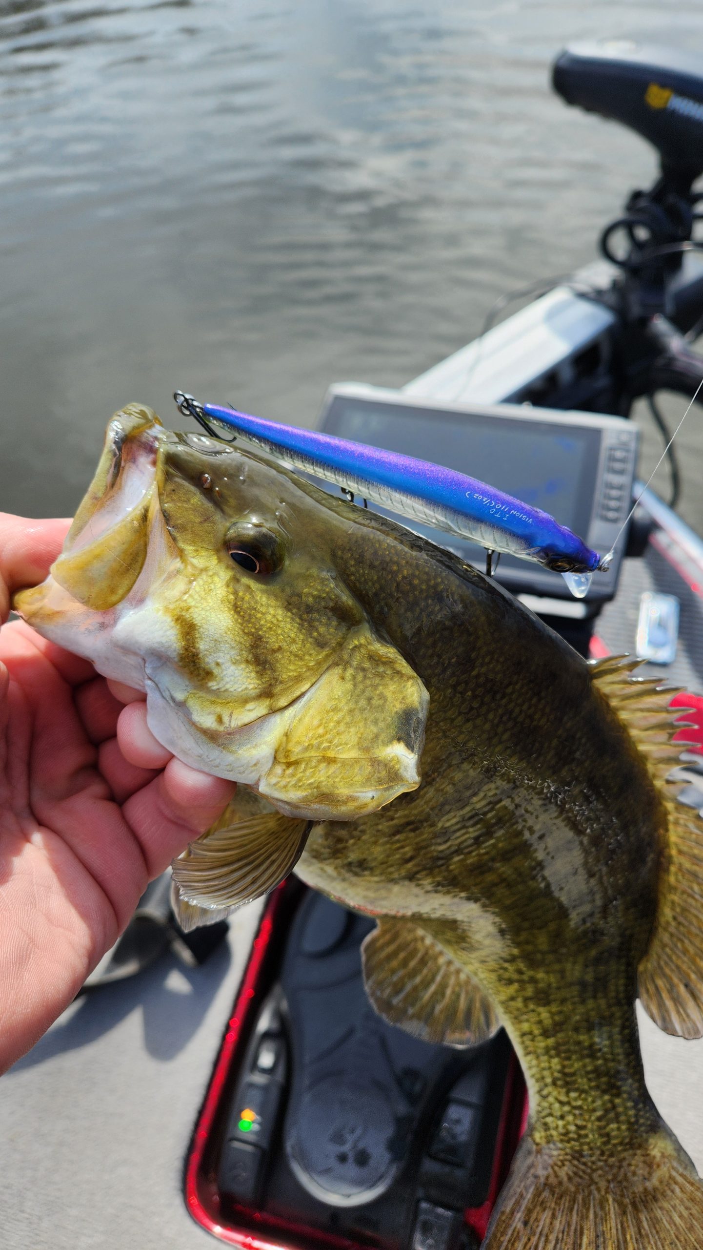 Choose the Right Jerkbait for Spring Bass Fishing - On The Water