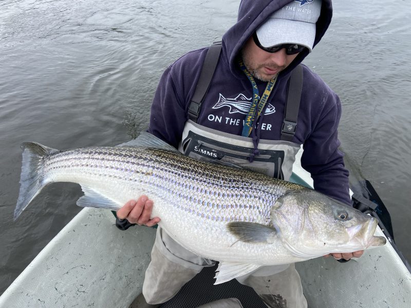 On The Water - The Angler's Guide to the Northeast