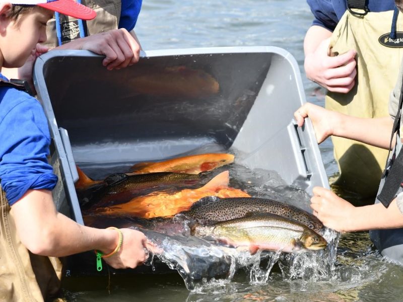 Northern New Jersey Fishing Reports