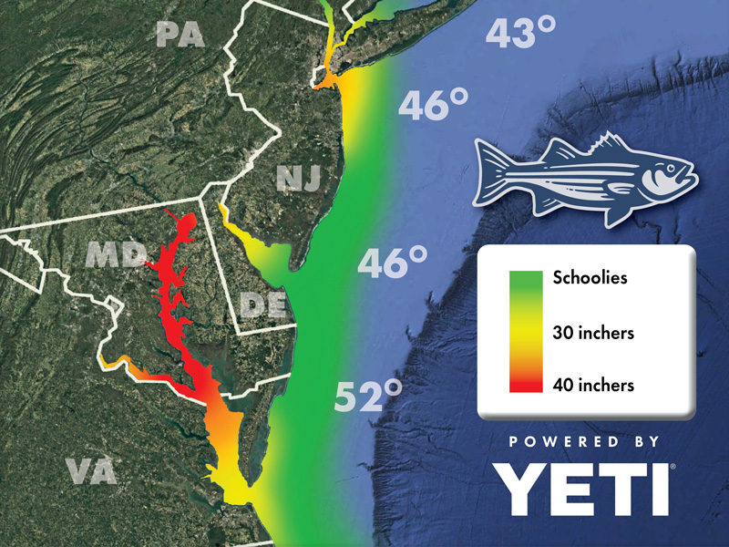 Striper Migration Map - March 28, 2025 - On The Water