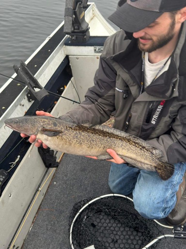 Coastal New Hampshire and Maine Coast Fishing Report – April 24, 2025 ...