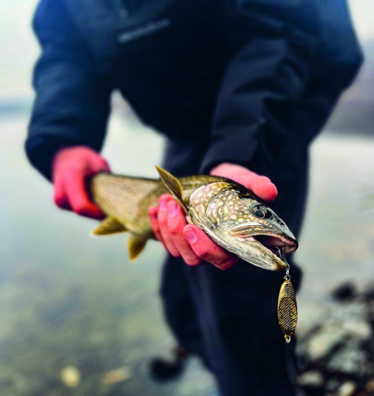 The Lake Trout of Wachusett Reservoir - On The Water