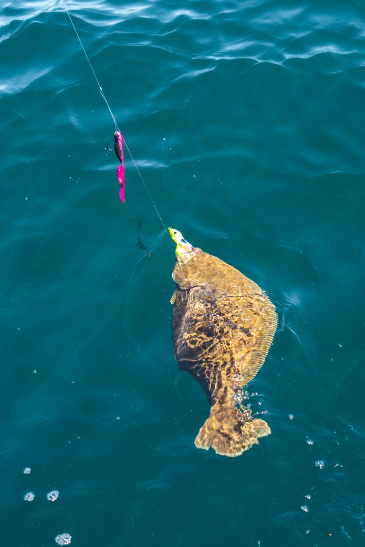 Teasers for Fluke - On The Water